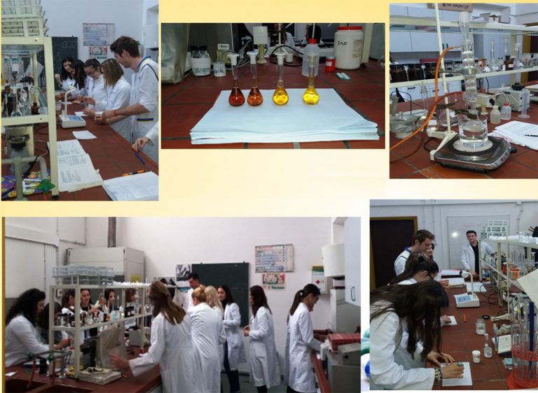 Doktorski studij – Farmaceutski fakultet